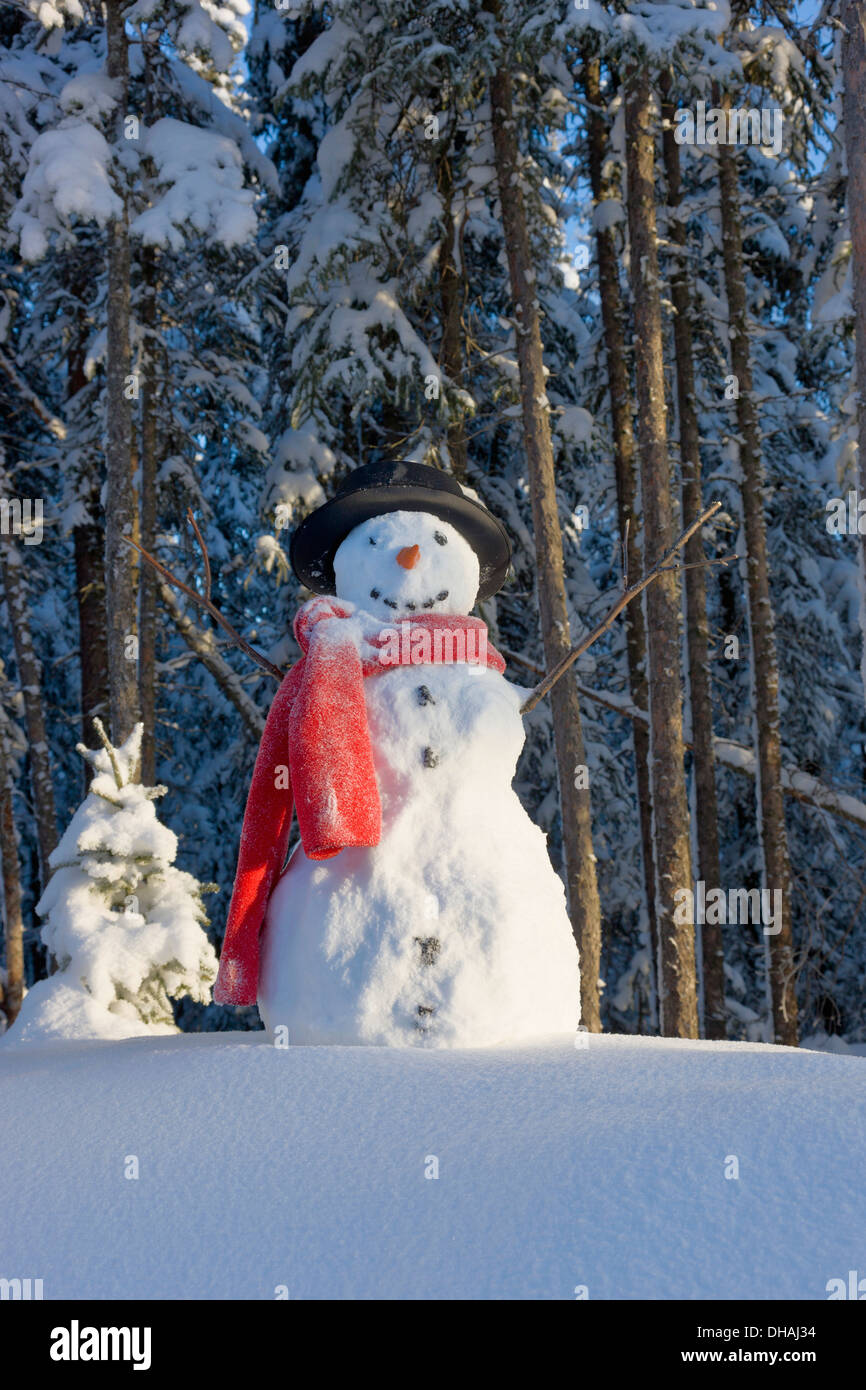 Snowman In Front Of A Snowy Spruce Forest;Anchorage Alaska Usa Stock ...