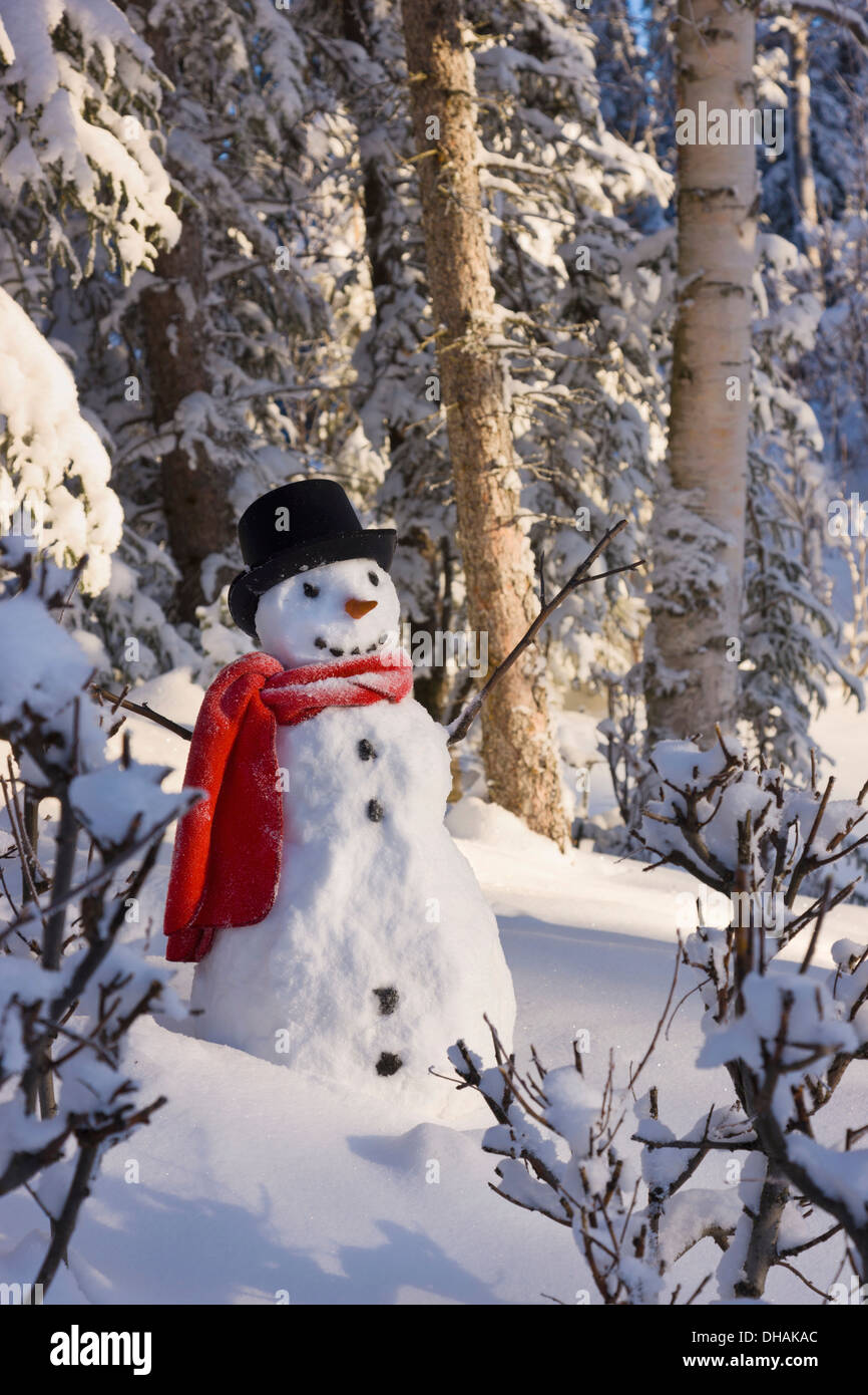 Snow man wearing a top hat hi-res stock photography and images - Alamy