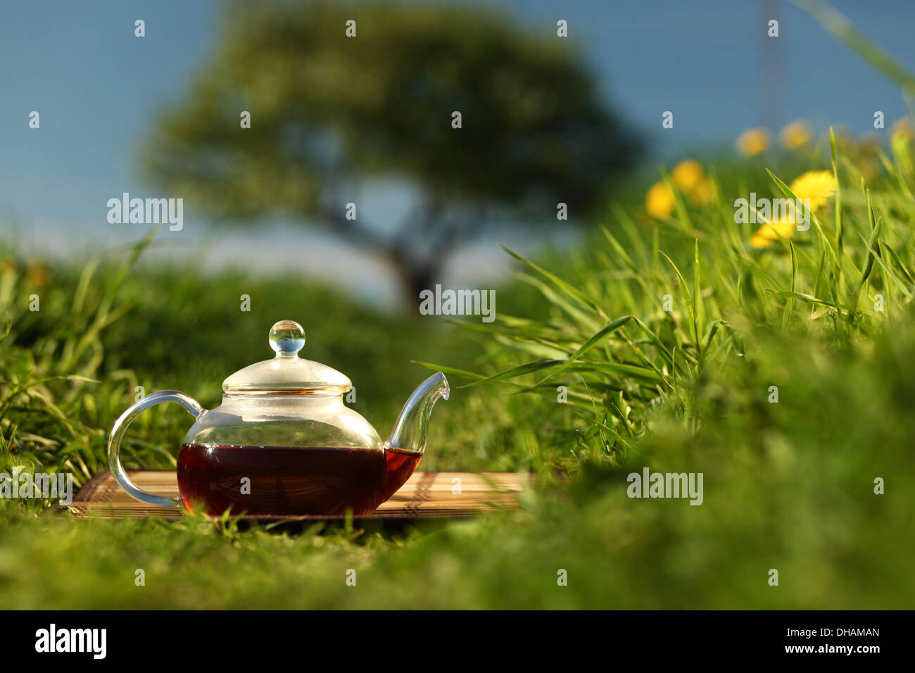 Natural tea in the pot Stock Photo - Alamy