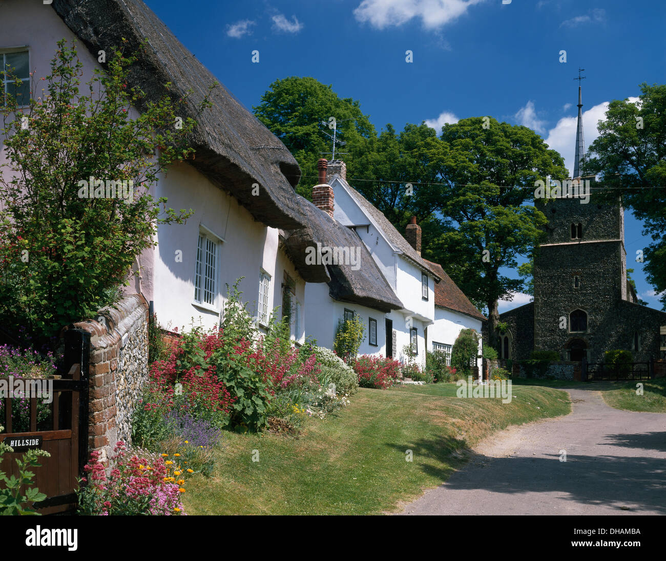 Ambo Stock Photos & Ambo Stock Images - Alamy