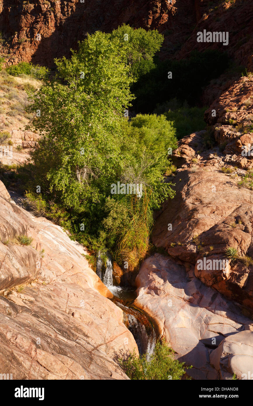 Stream on Bright Angel Trail, Grand Canyon National Park, Arizona Stock ...