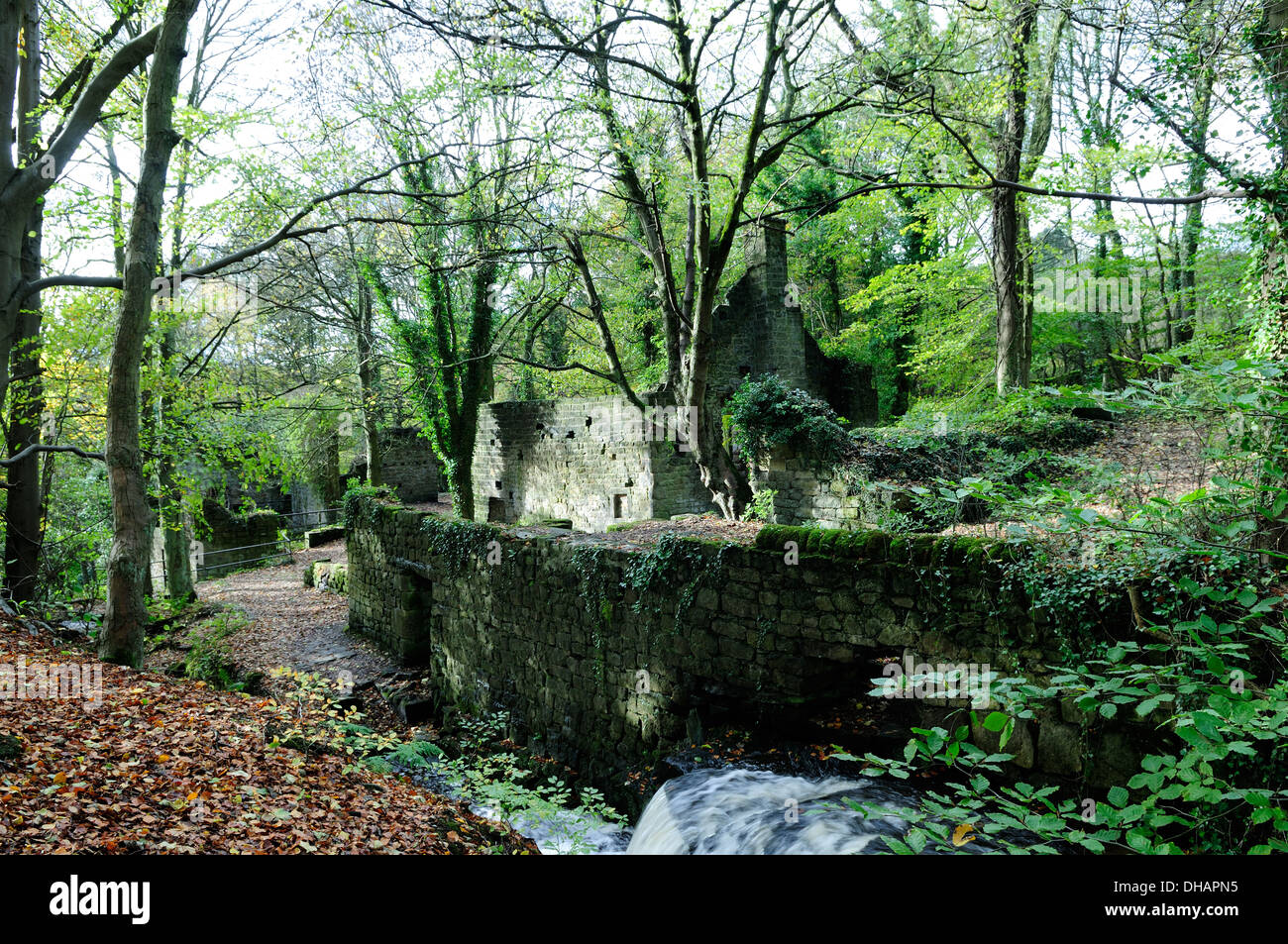 Lumsdale gorge of outstanding natural beauty with stone ruins hi-res ...