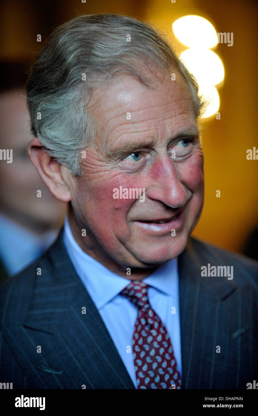 Prince charles wales hrh monarchy british royal family hi-res stock ...