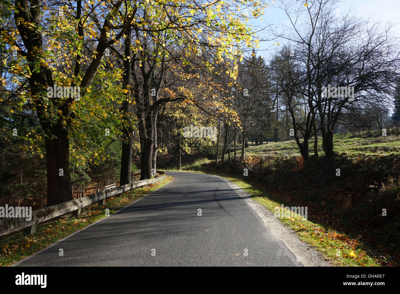 Empty road mountains trees hi-res stock photography and images - Alamy