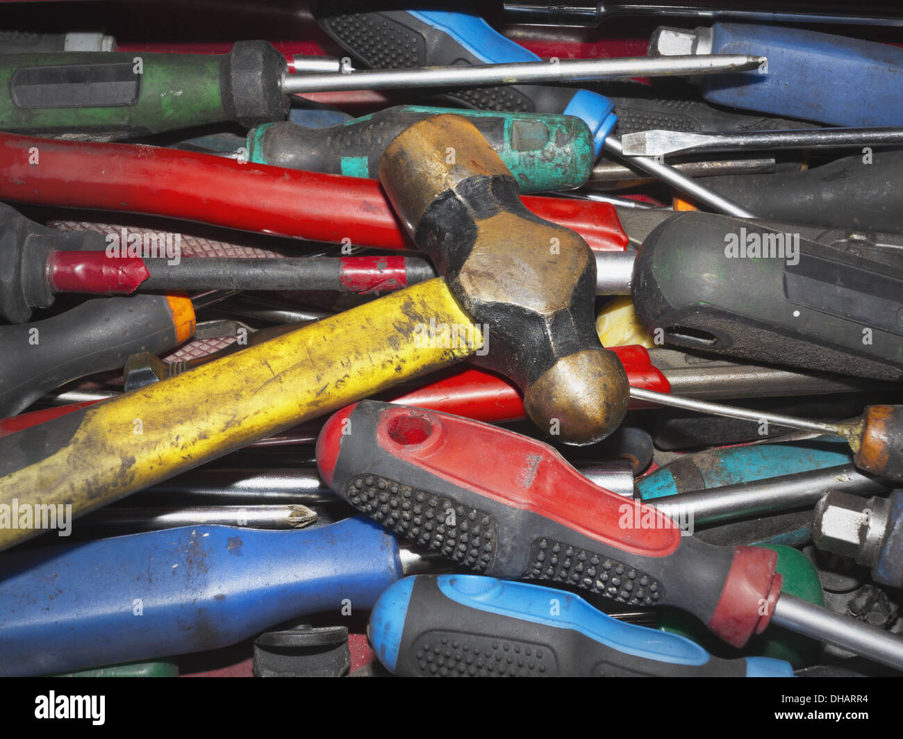 Closeup yellow hammer hi-res stock photography and images - Alamy