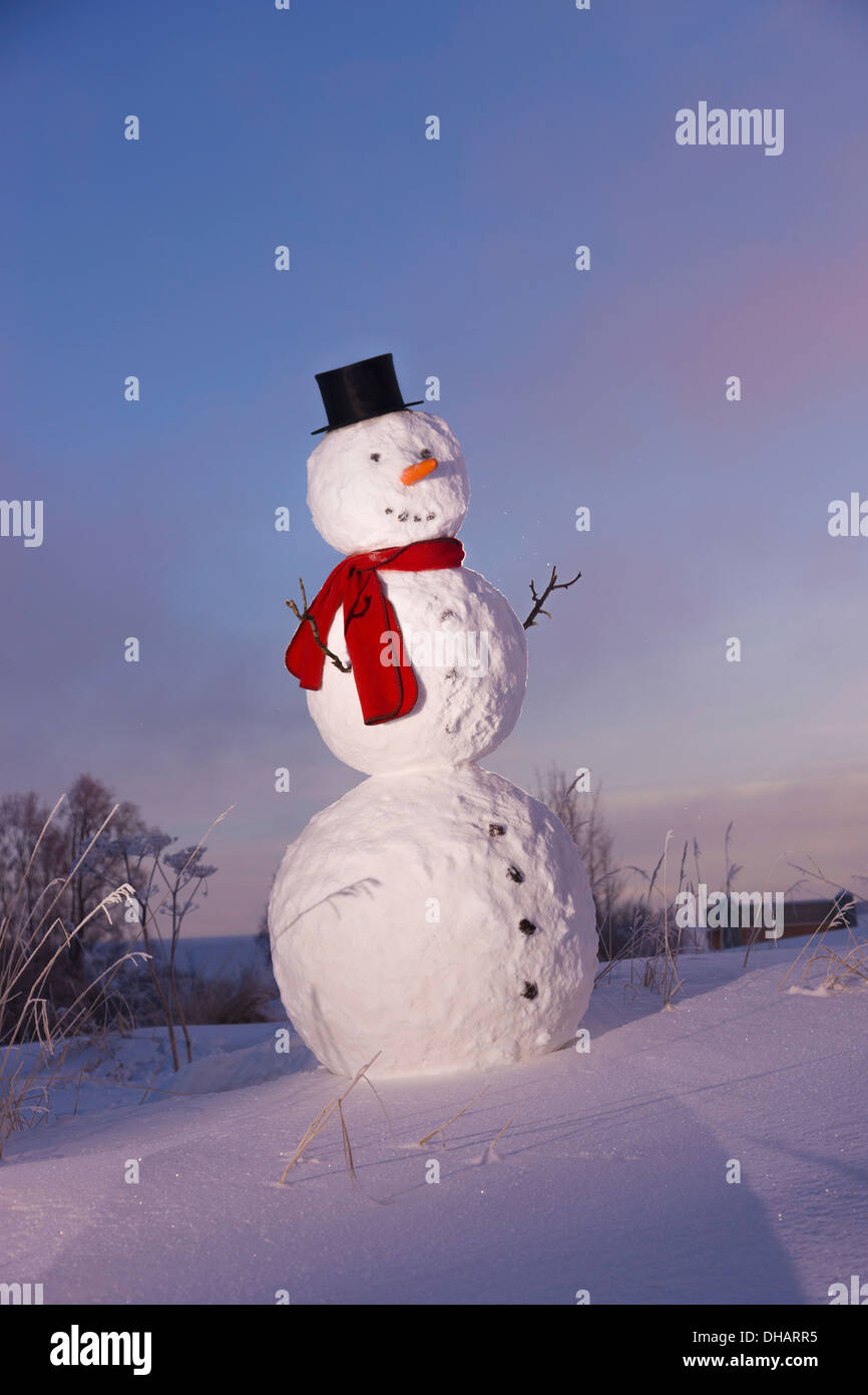 Snowman In Field Wearing A Black Stovepipe Hat And Red Scarf;Anchorage ...
