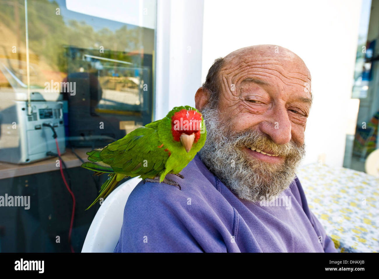 Parrot friendship hi-res stock photography and images - Alamy