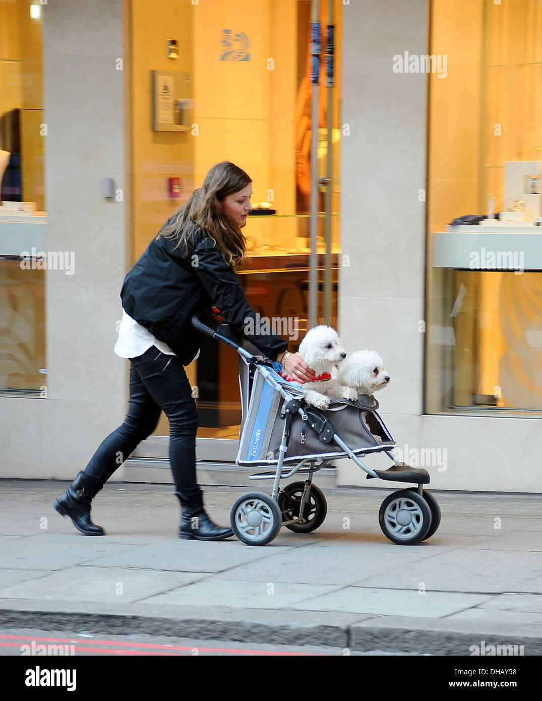 A woman takes her two dogs for a walk in a pushchair in Knightsbridge ...