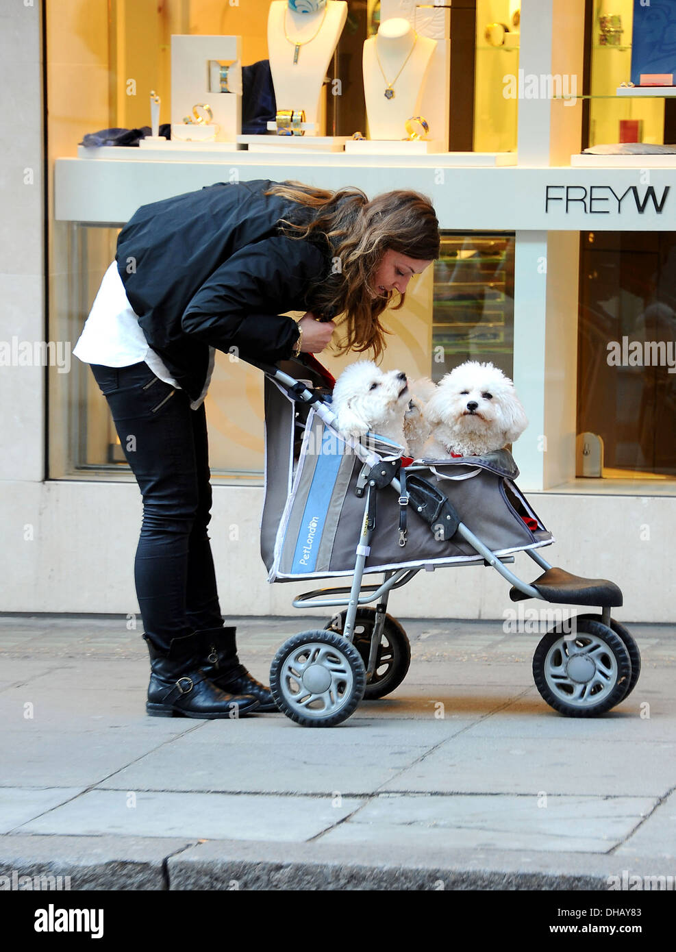 Dogs in pushchair hi-res stock photography and images - Alamy