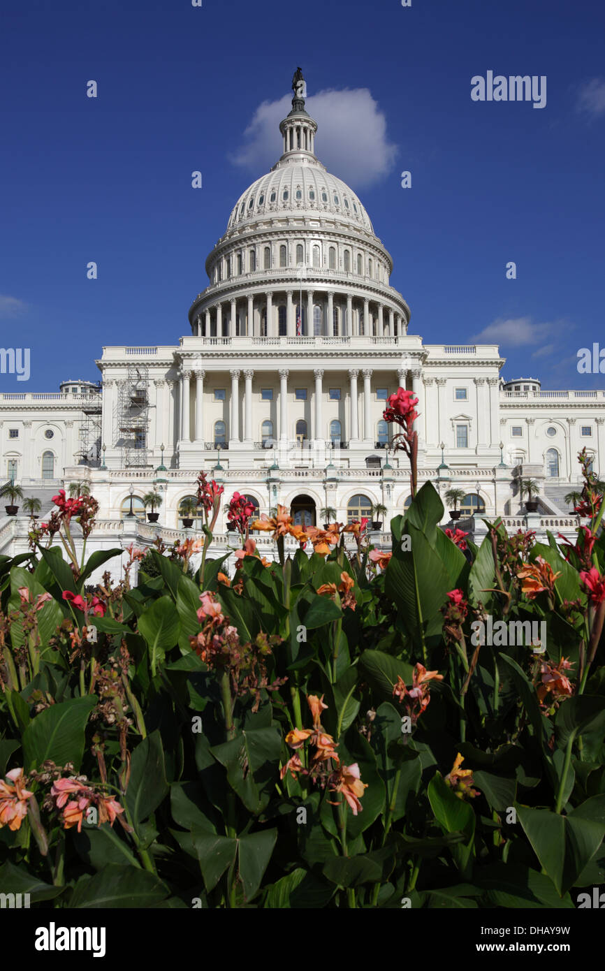 United states capital with flowers hi-res stock photography and images ...