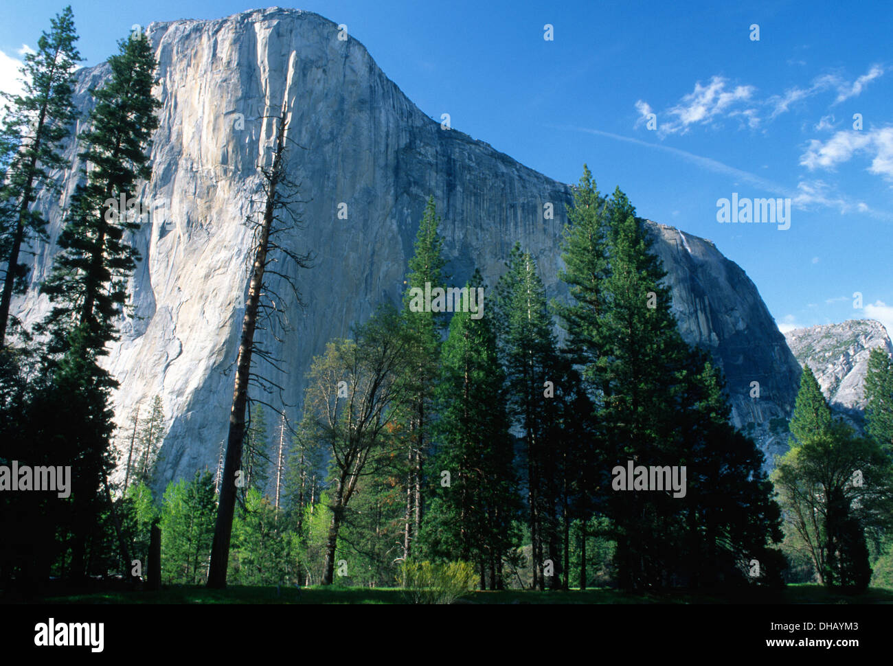 Yosemite National Park, Ca Stock Photo - Alamy