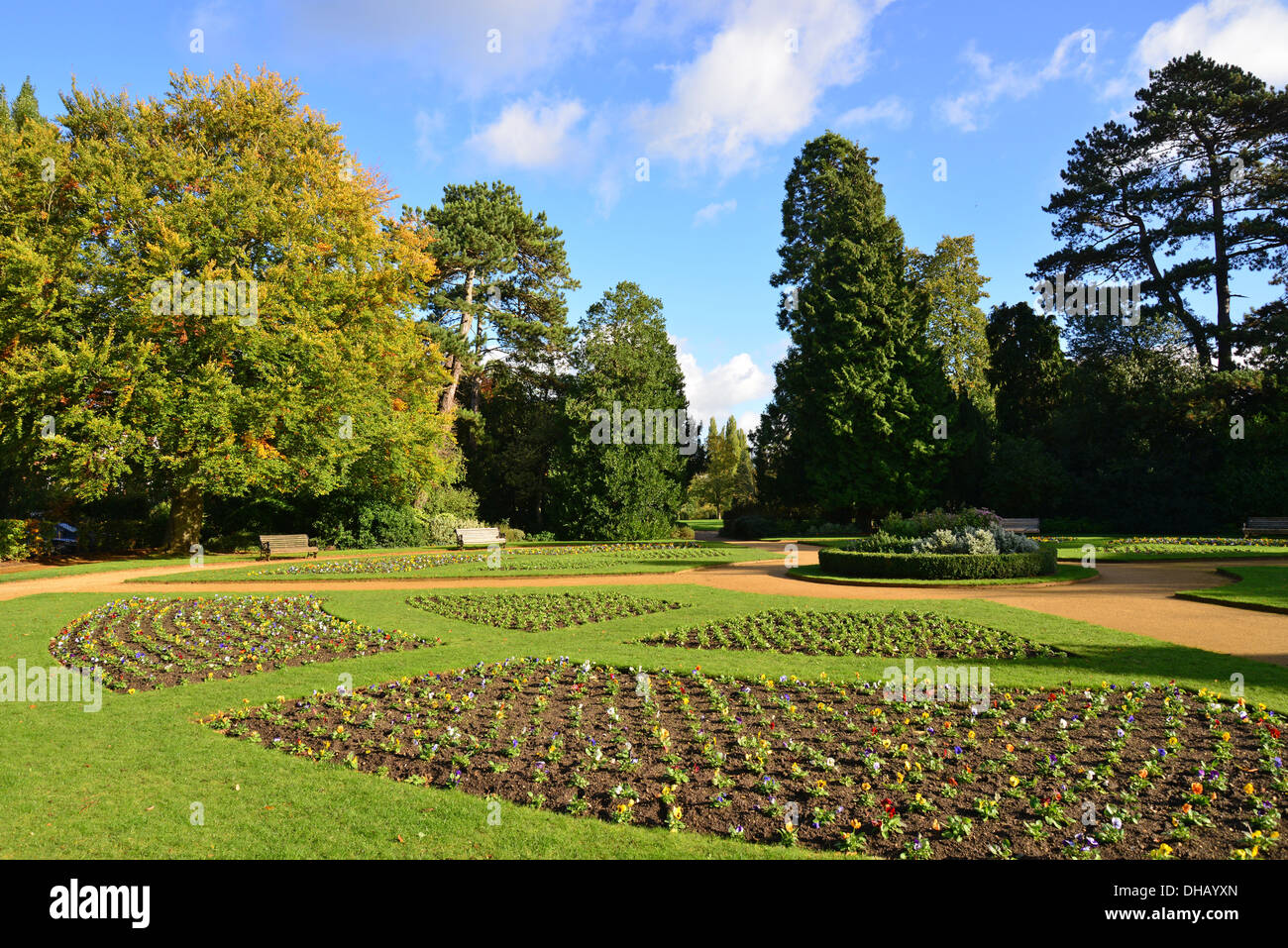 Formal Garden in autumn, Abbey Gardens, Abingdon-on-Thames, Oxfordshire ...