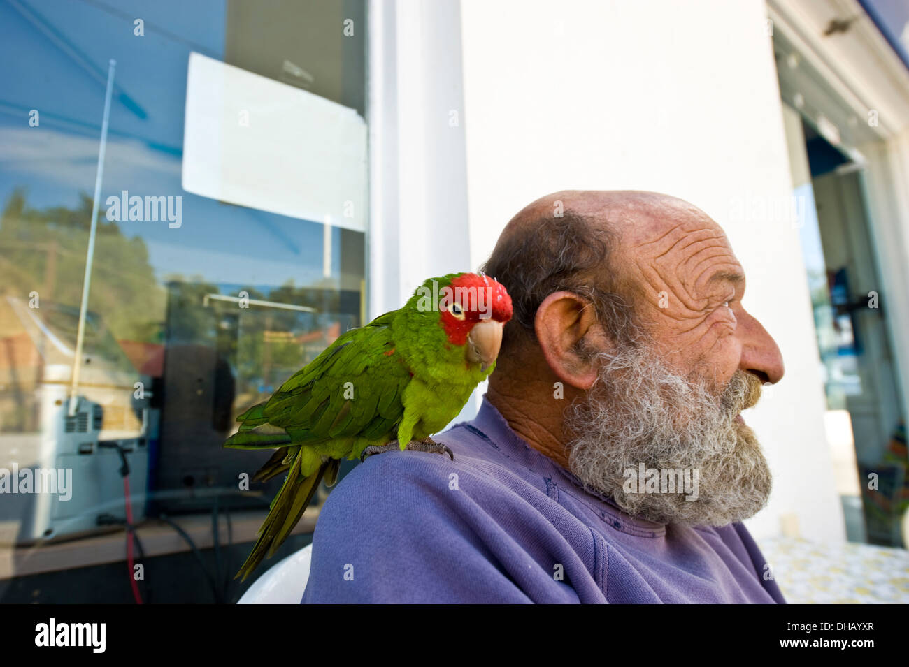Man bird pet hi-res stock photography and images - Alamy