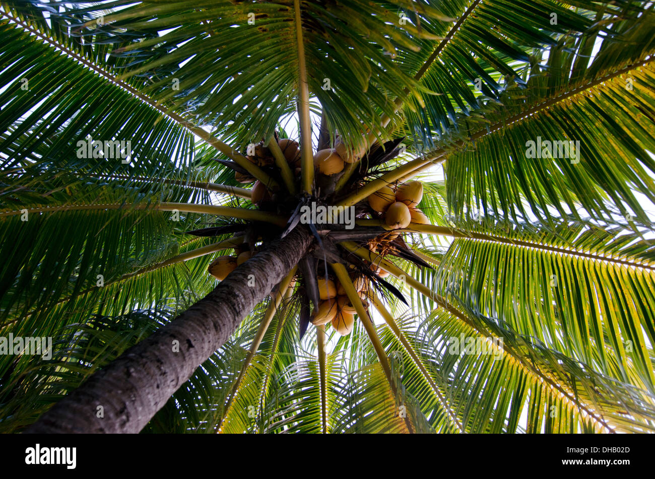 Aitutaki Lagoon Stock Photos & Aitutaki Lagoon Stock Images - Alamy