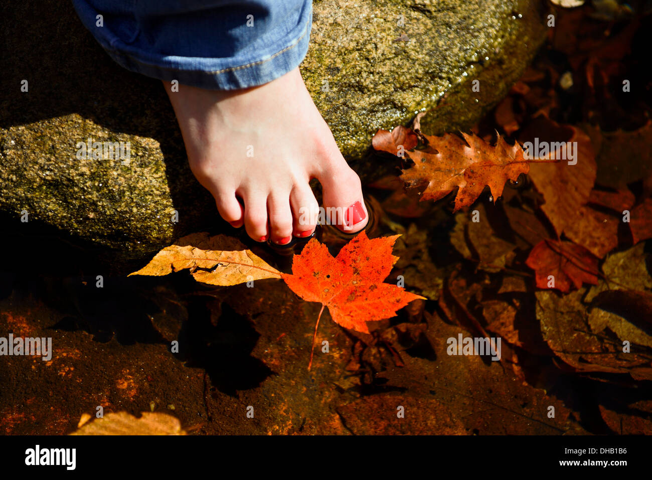 Ladies foot with painted toe nails and an Autumn Leaf in a stream off ...