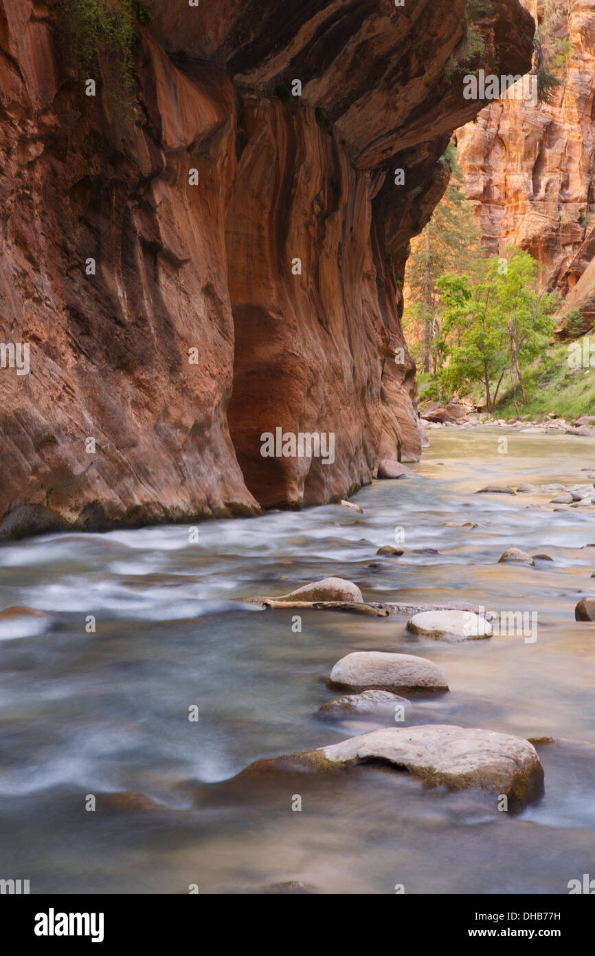 The Narrows on the Virgin River, Zion National Park, Utah Stock Photo ...