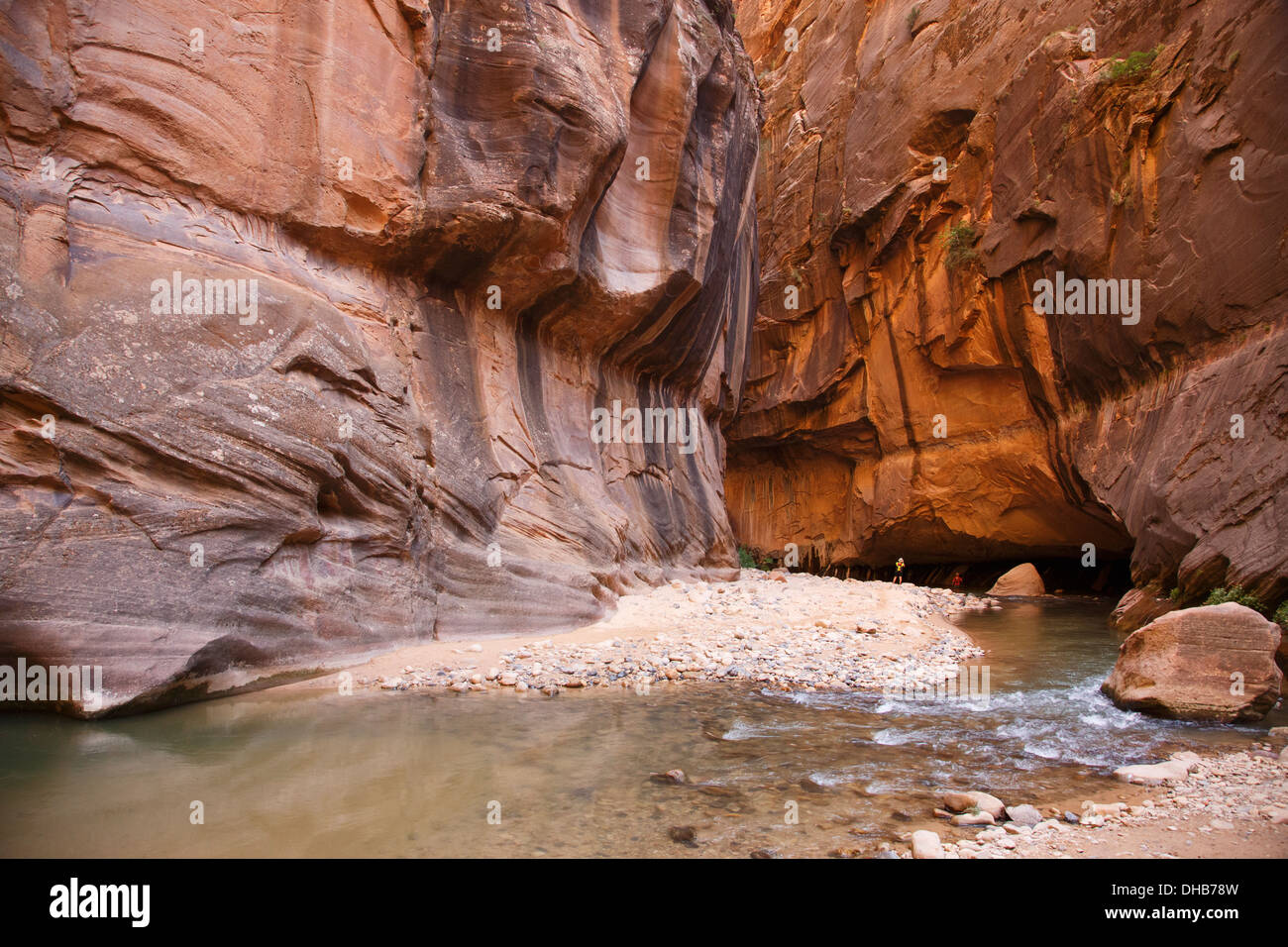 Hiking in The Narrows on the Virgin River, Zion National Park, Utah ...