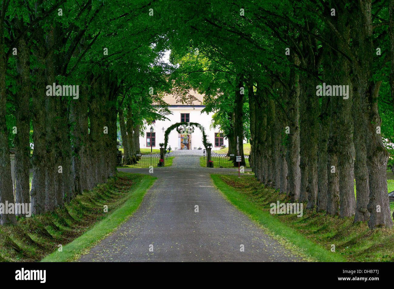 Swedish country road Stock Photo - Alamy