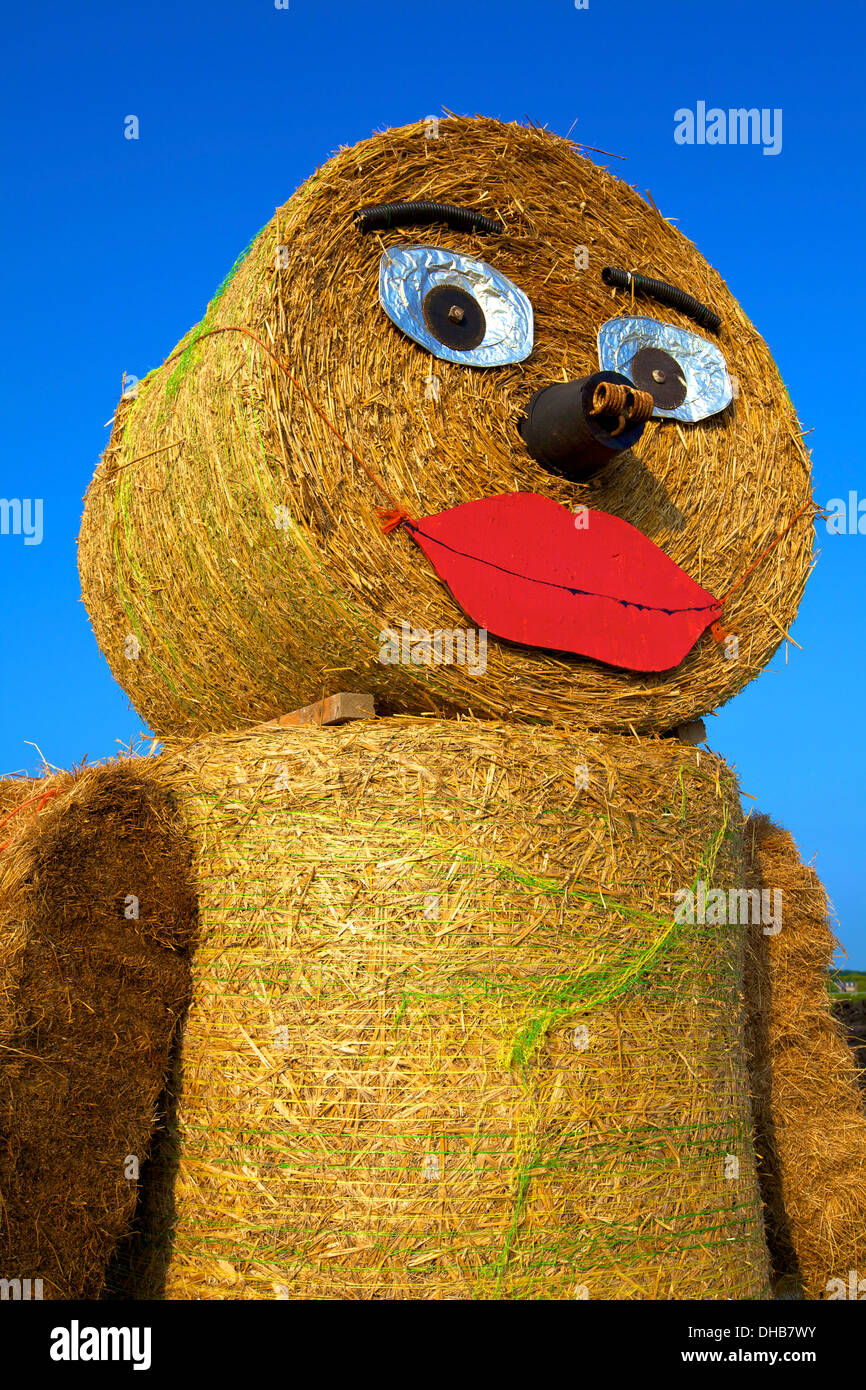 Straw character hi-res stock photography and images - Alamy