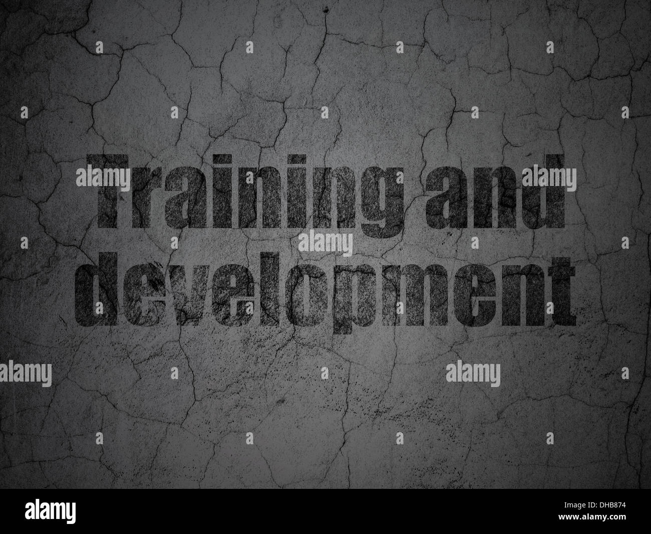 Education concept: Training and Development on grunge wall background ...