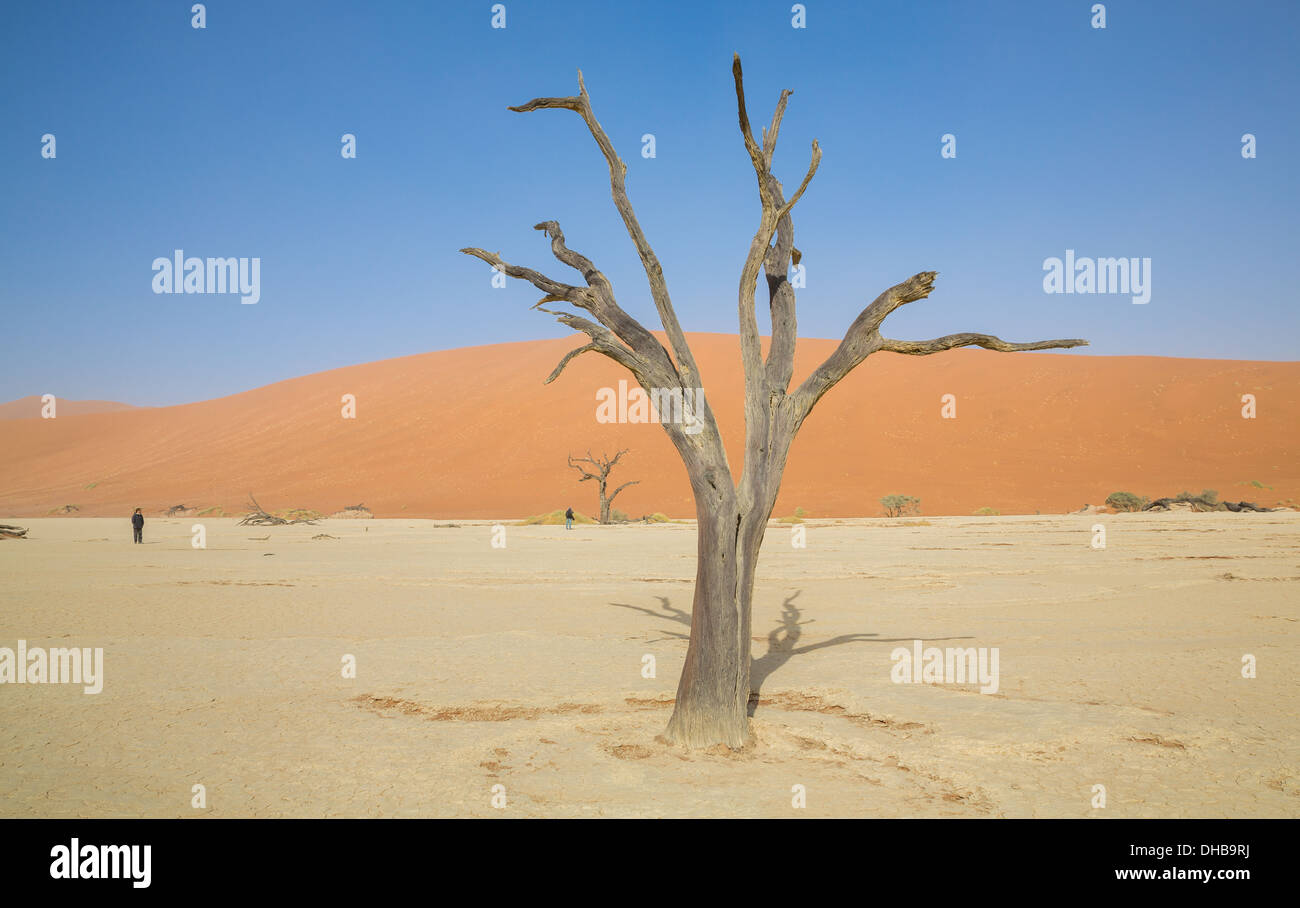 Arid africa zone hi-res stock photography and images - Alamy