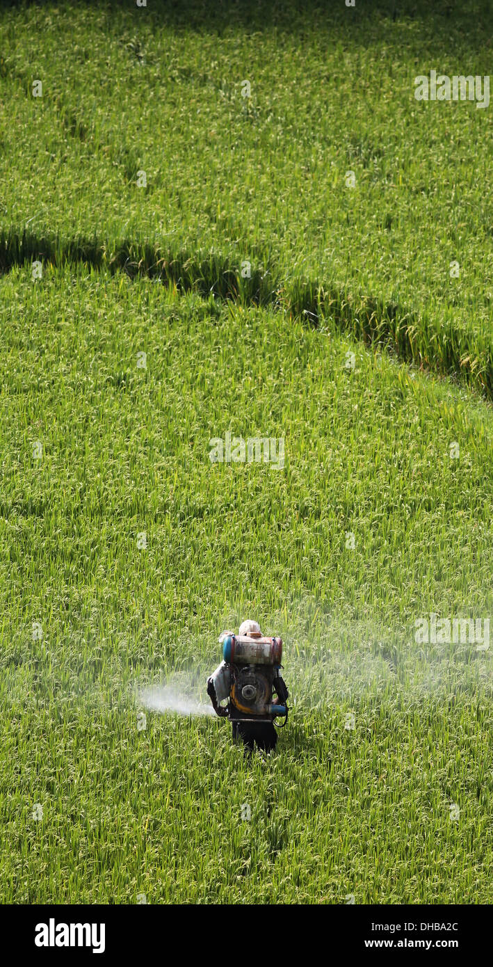 Indian farmer field hi-res stock photography and images - Alamy