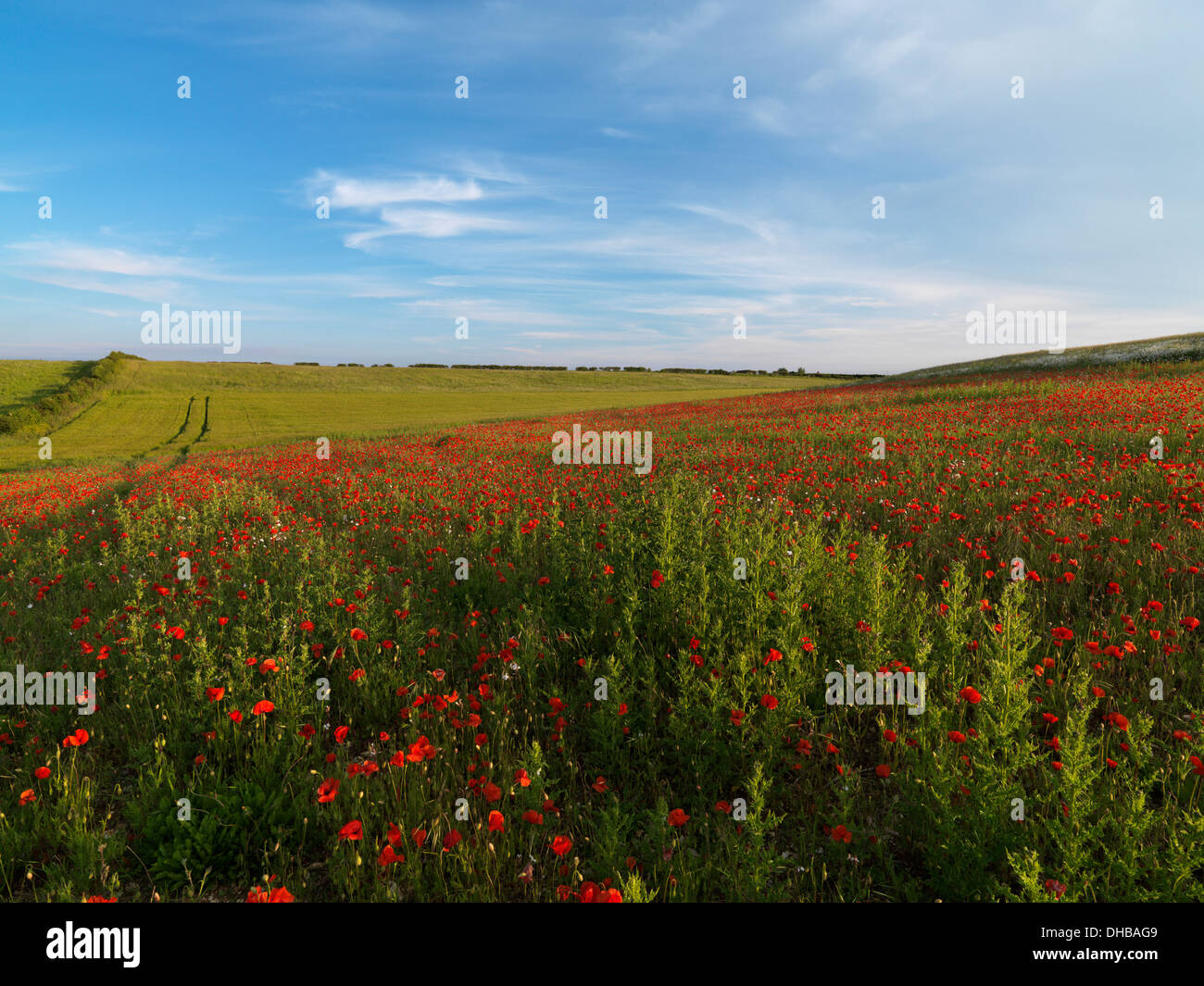 Burnham à norfolk hi-res stock photography and images - Alamy