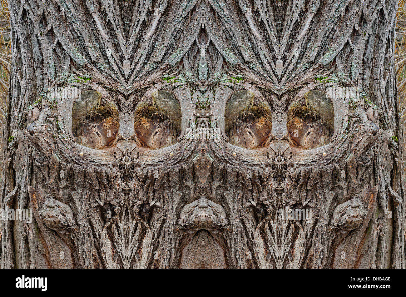 Symmetrical figure of old tree bark background Stock Photo - Alamy