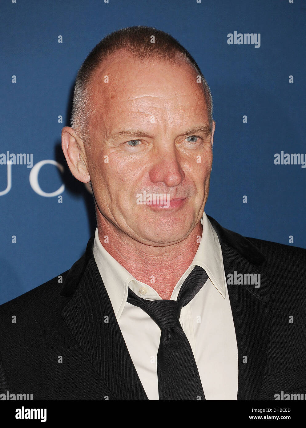 Sting singer hi-res stock photography and images - Alamy