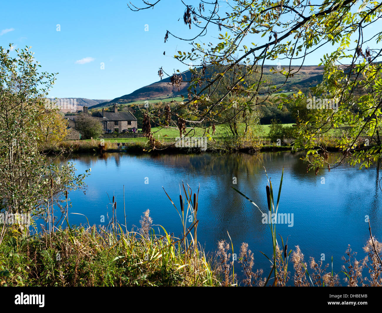 Autumn pond scene, Greenfield, Saddleworth, Oldham, UK Stock Photo - Alamy