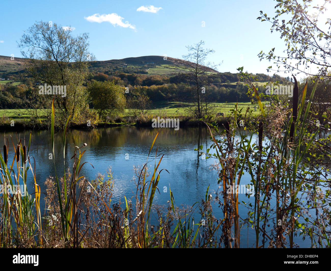 Autumn pond scene, Greenfield, Saddleworth, Oldham, UK Stock Photo - Alamy