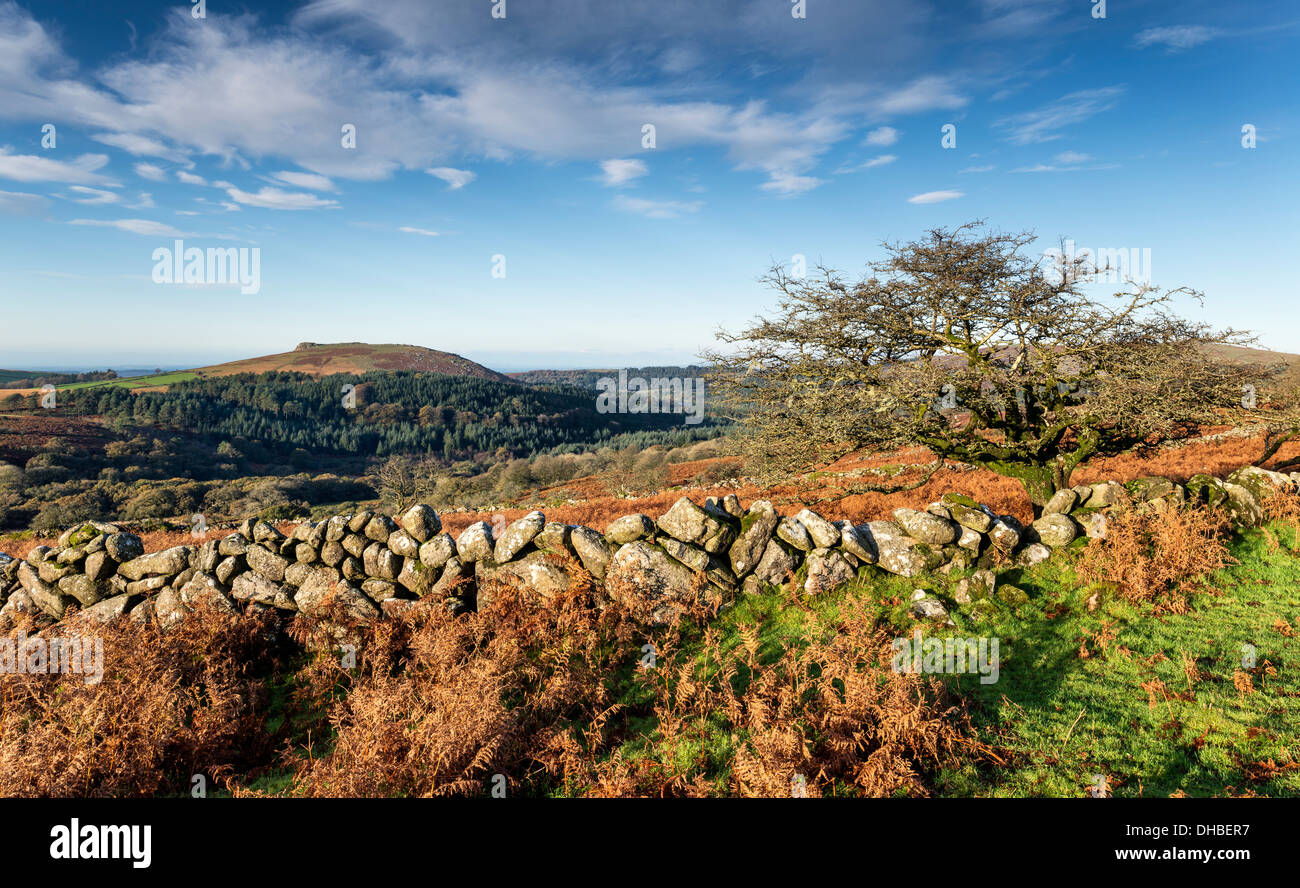 Autumn view of Dartmoor National Park in Devon taken from Down Tor ...