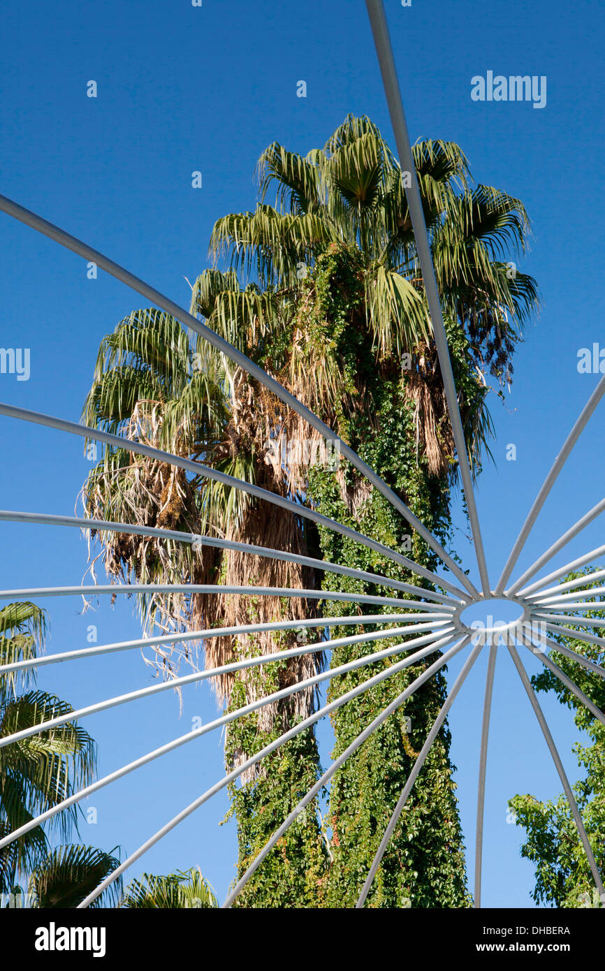 Palm trees in the gardens of the Vera Stone Palace Hotel in the popular ...