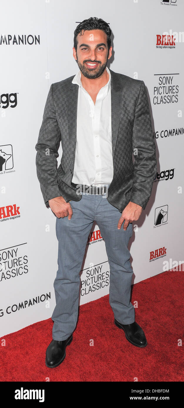 David Golshan Premiere Of Sony Pictures Classics' 'Darling Companion ...