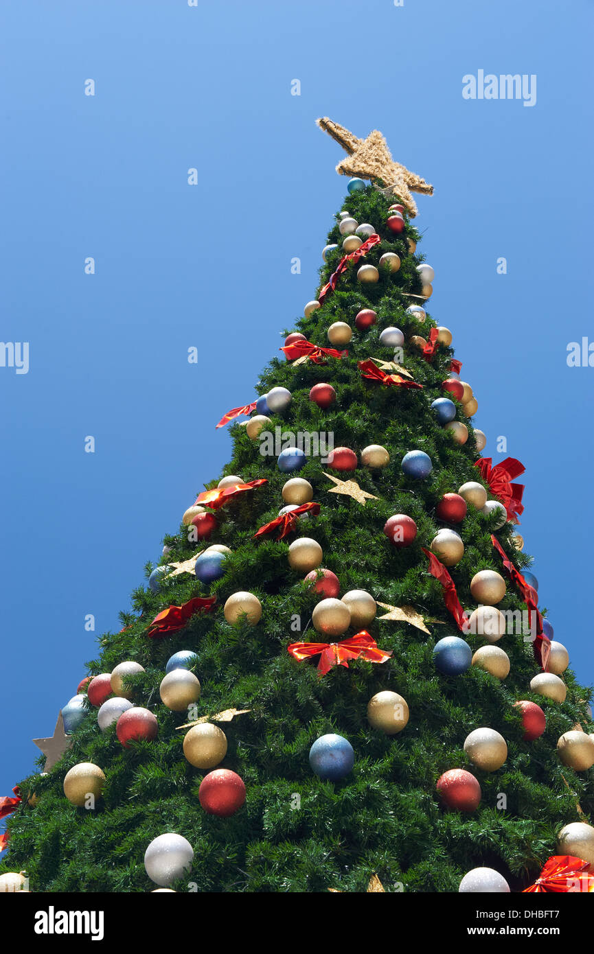 Very large christmas tree hi-res stock photography and images - Alamy