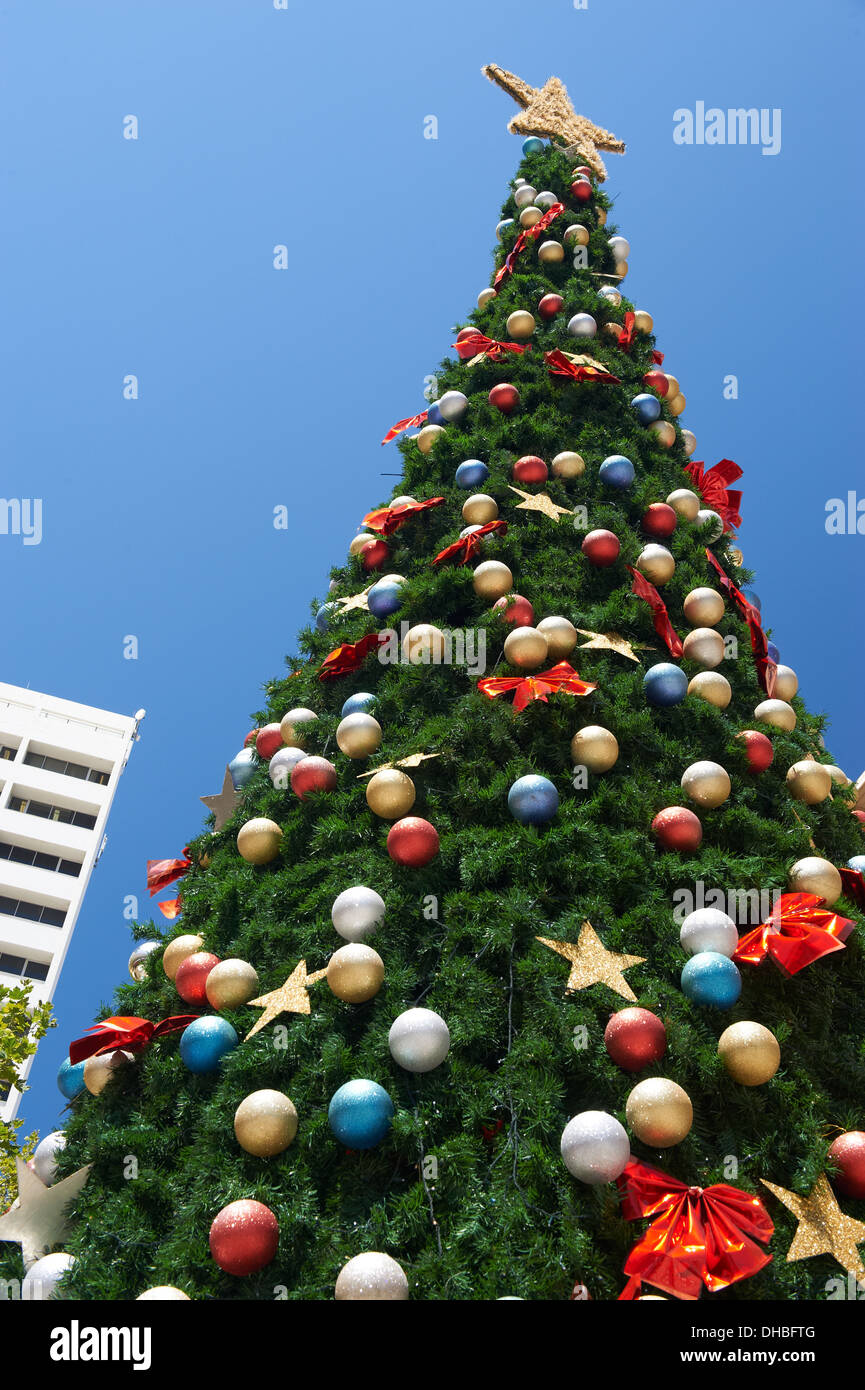 Large christmas tree hi-res stock photography and images - Alamy