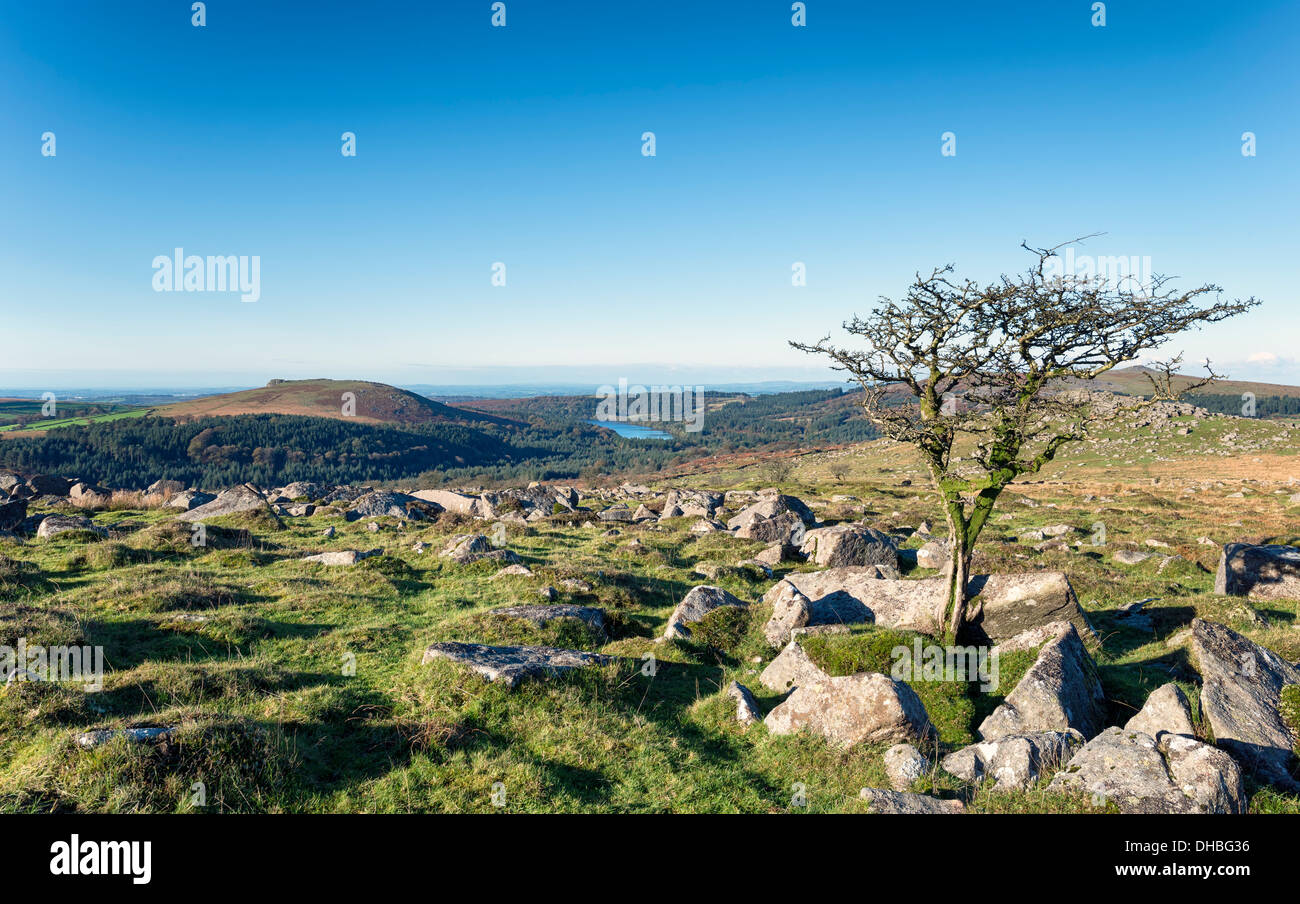 Burrator lake dartmoor hi-res stock photography and images - Alamy