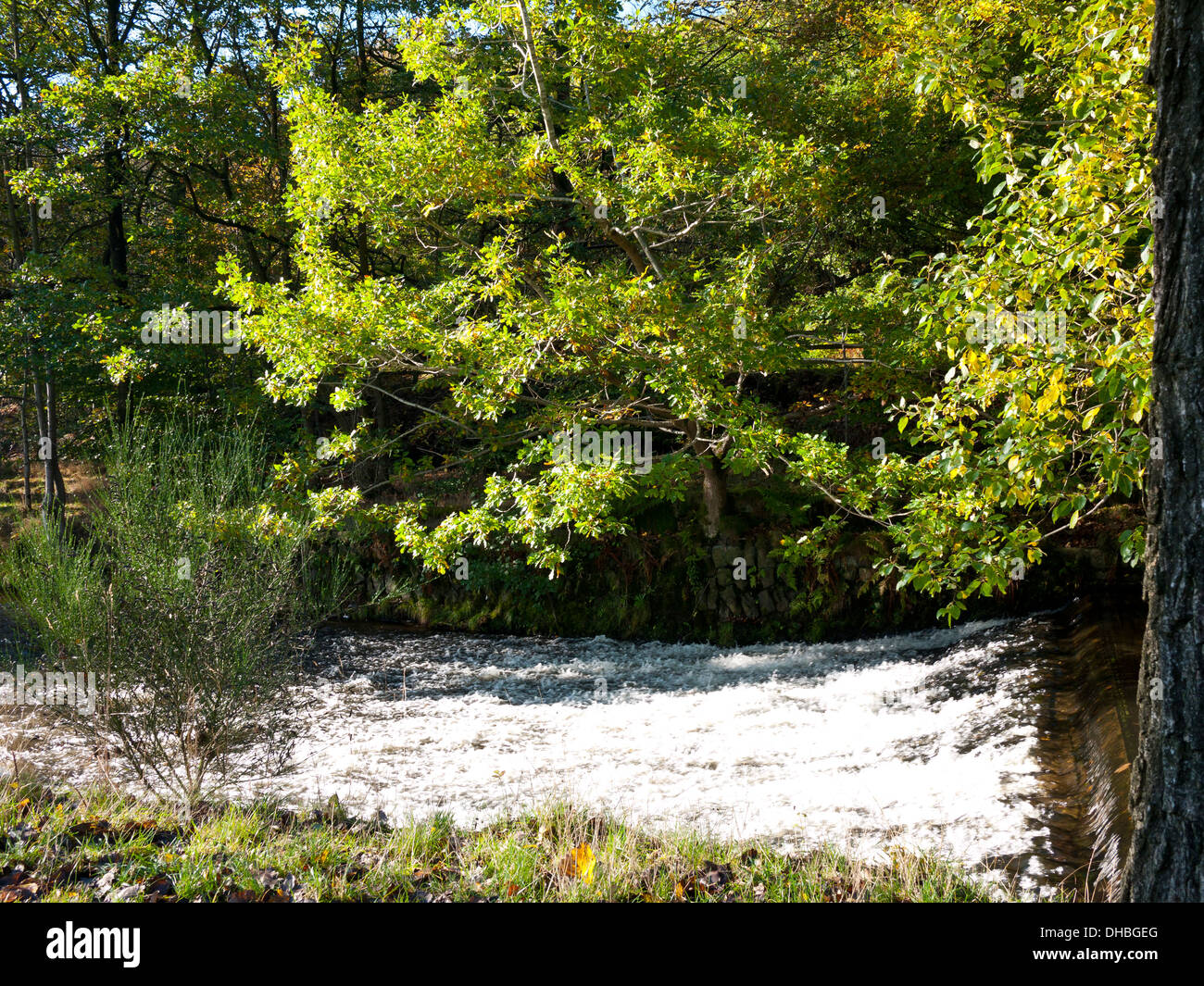 The River Tame at Greenfield, Oldham, Lancashire, UK Stock Photo - Alamy