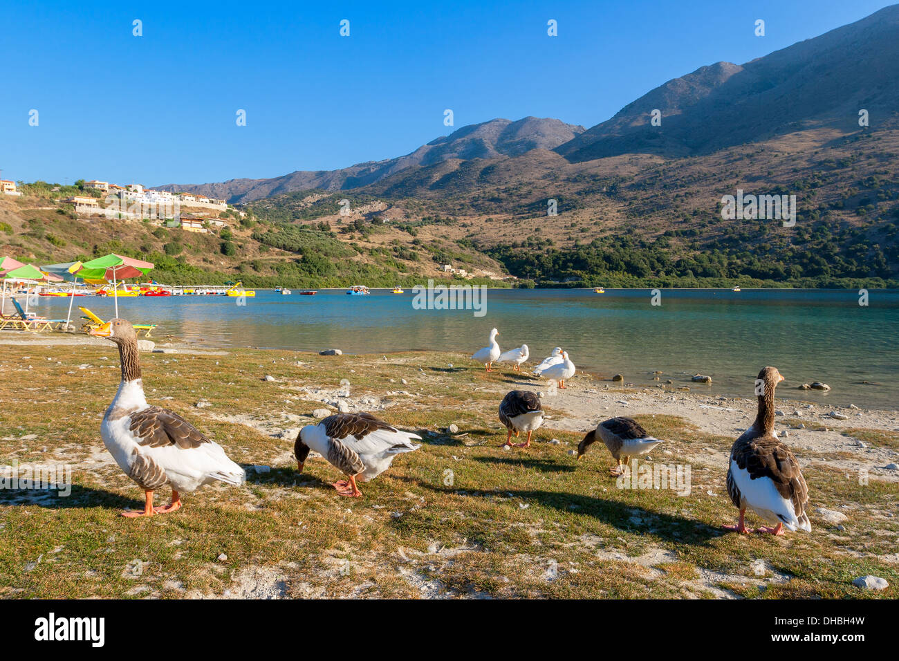 Kournas lake. Crete, Greece Stock Photo - Alamy