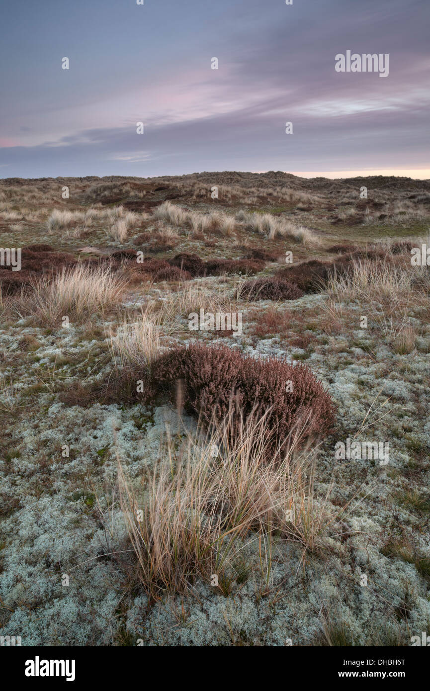Winterton beach and dunes on the East coast of Norfolk, England Stock ...
