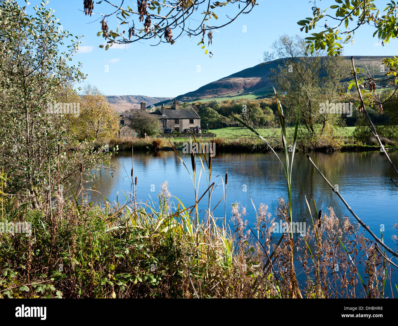 Autumn pond scene, Greenfield, Saddleworth, Oldham, UK Stock Photo - Alamy