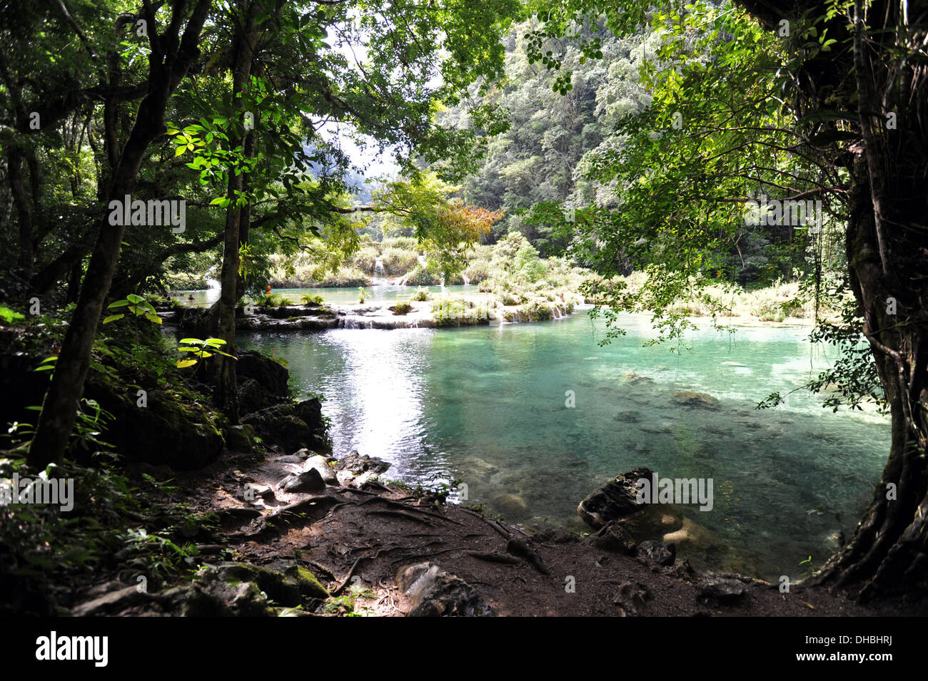 Semuc Champey, in the Alta Verapaz region of Guatemala, consists of a ...