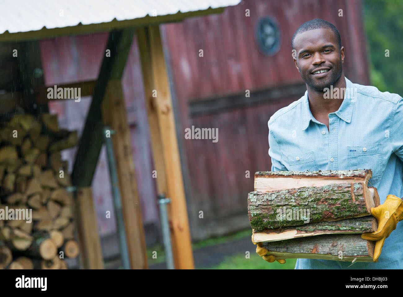 Young man carrying firewood hi-res stock photography and images - Alamy