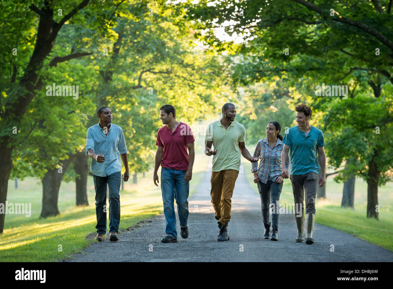 Five people walking down a tree lined avenue in the countryside Stock ...