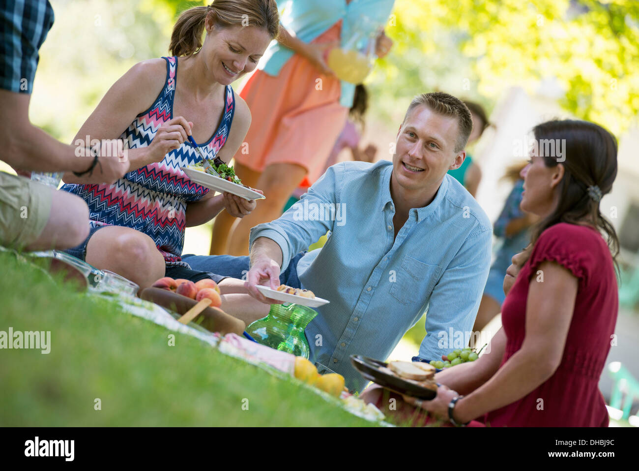 Group people sitting under tree hi-res stock photography and images - Alamy