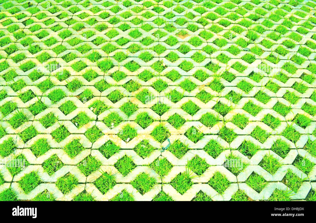 Lawn Grass in concrete table Stock Photo - Alamy