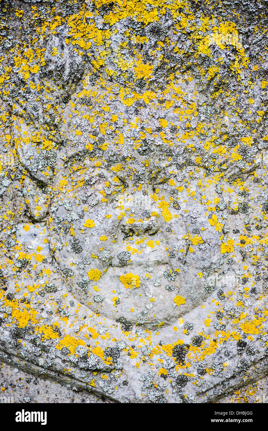 Cherubs Face High Resolution Stock Photography and Images - Alamy