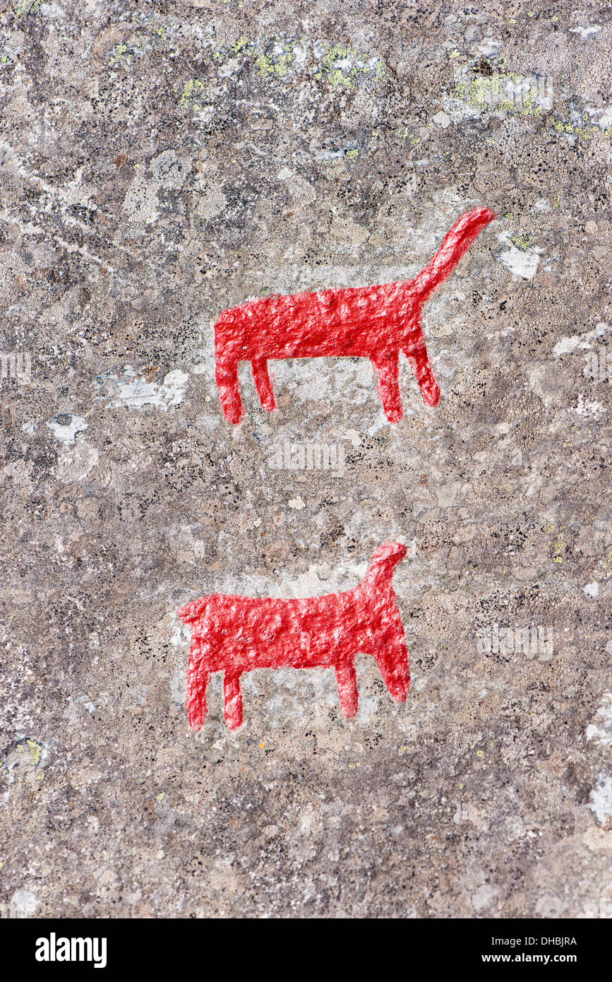 Rock engraving. animal hi-res stock photography and images - Alamy