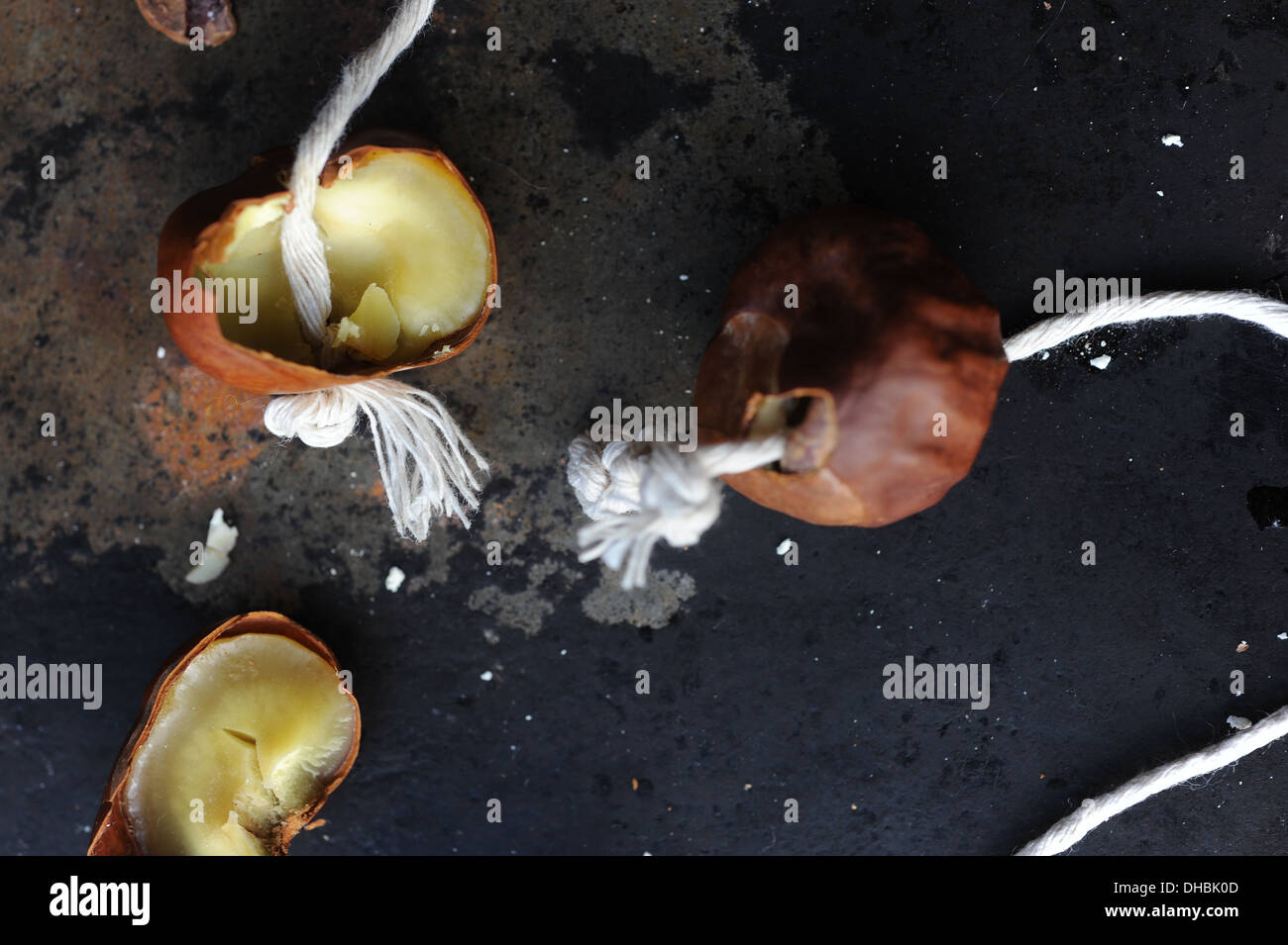 Conker battle hi-res stock photography and images - Alamy