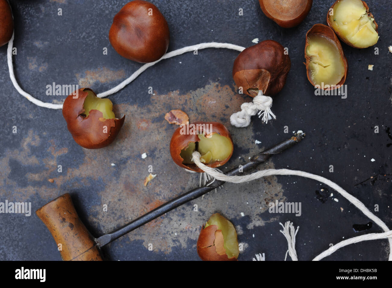 Conker battle hi-res stock photography and images - Alamy